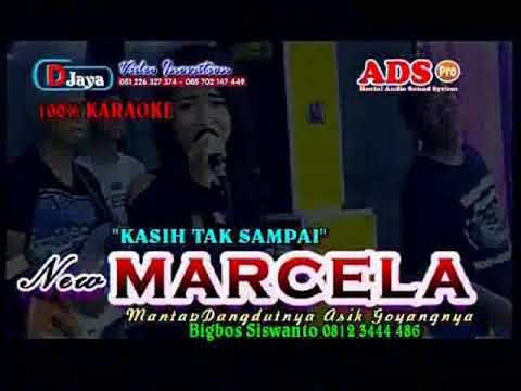 New,MARCELA. Goyang uler keket berduet riya