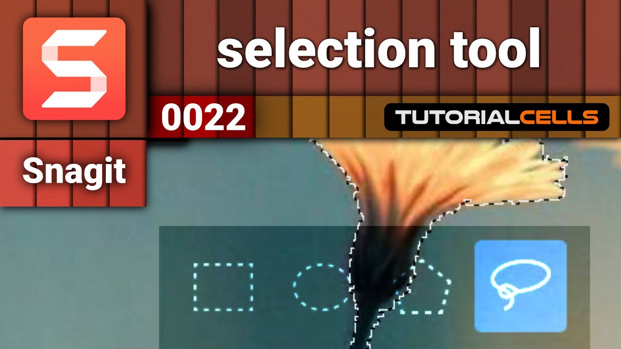 0022. selection tool in snagit - YouTube