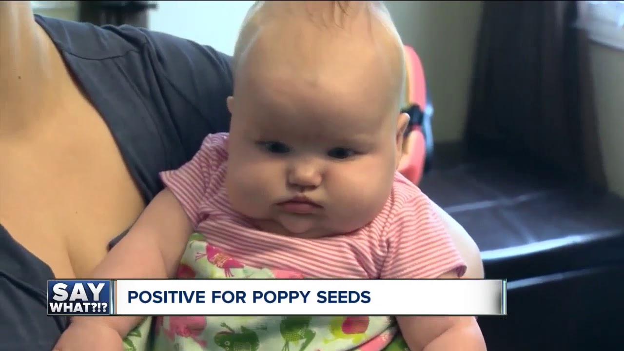 Positive for poppy seeds - YouTube