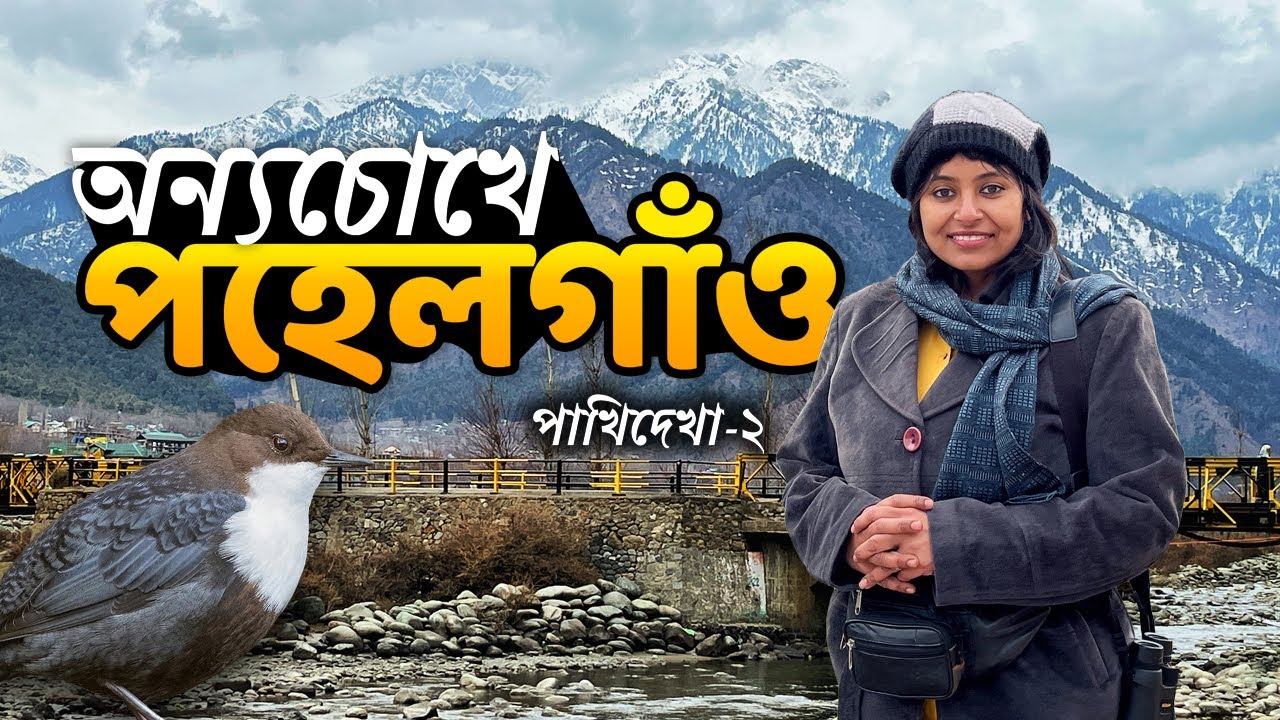 Kashmiri Food | Birds of Pahalgam - Part-2 | Kashmir Birds | Kashmir ...