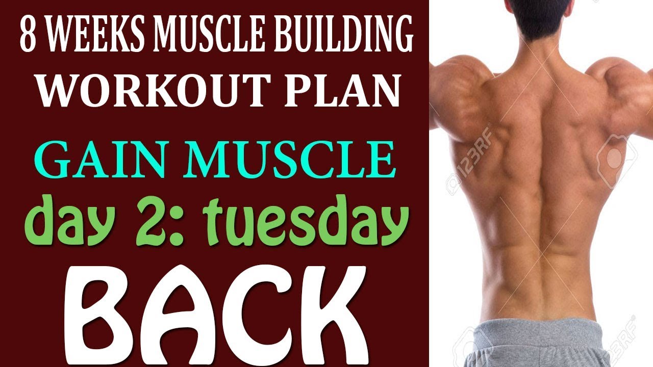 Complete Back Workout | 8 Weeks Muscle Building Workout Plan - YouTube