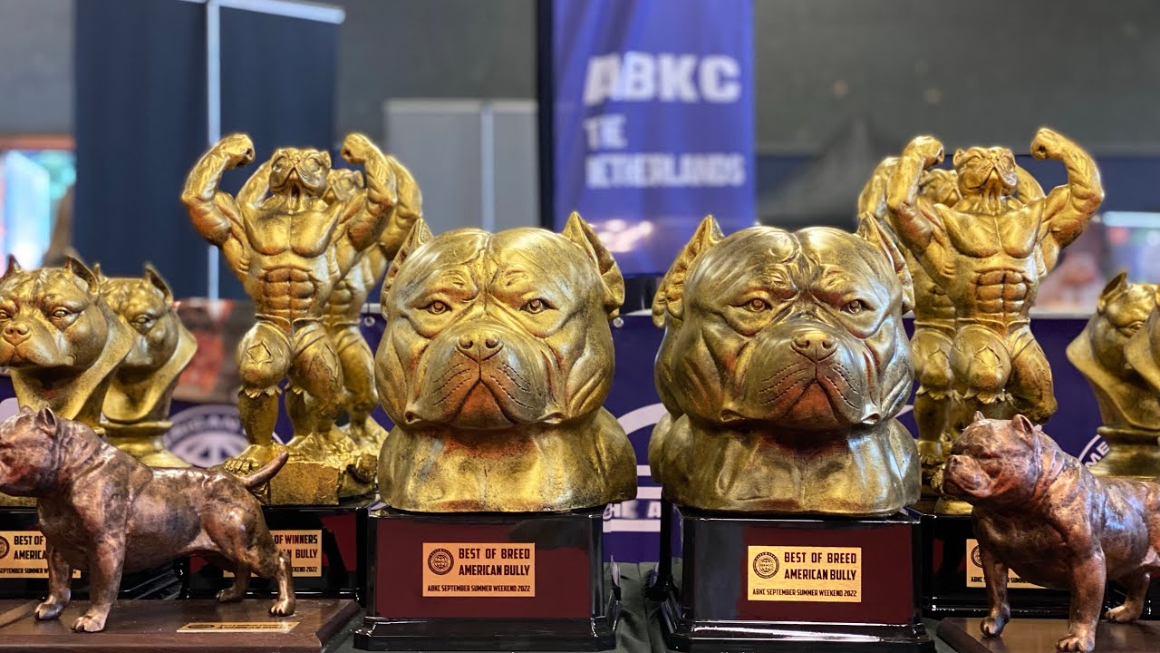 BIG DOGS ROMANIA SANDU IN THIS SHOW BECAME ABKC CHAMPION . 10-11 SEPT ...