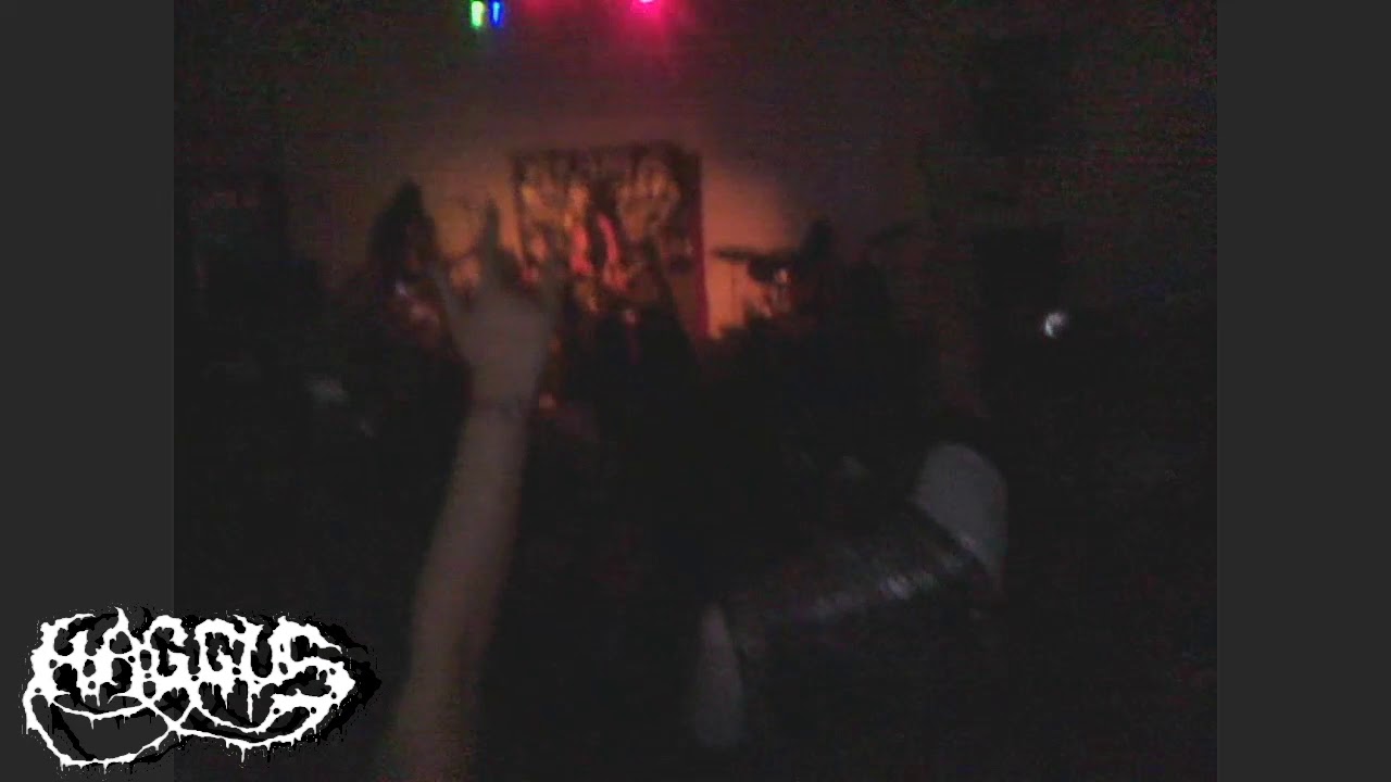 Haggus Mince core en Colombia. - YouTube
