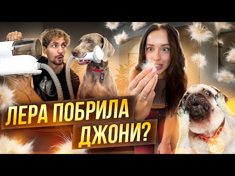 ЛЕРА ПОБРИЛА ДЖОНИ? 😏