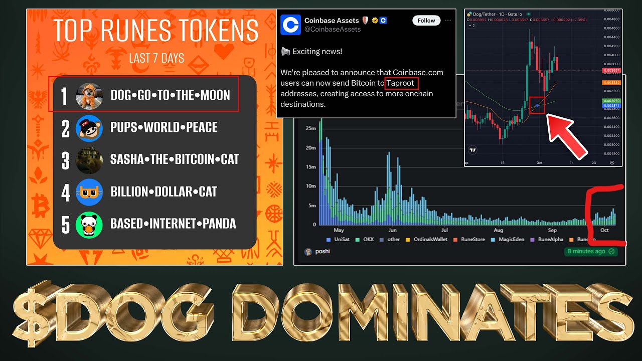 $DOG (Rune) Dominates Trading Volume (Coinbase + Taproot News) 😱 - YouTube