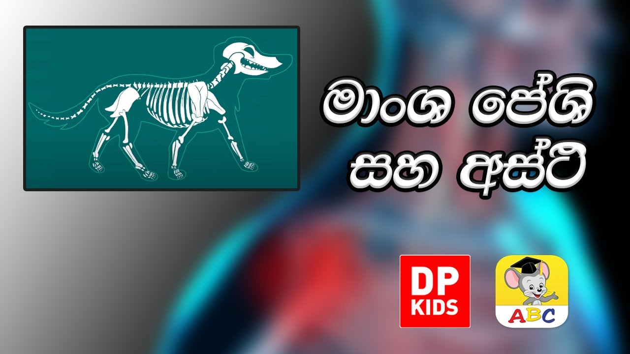 මාංශ පේශි සහ අස්ථි | Professor Hester Muscles and Bones - YouTube
