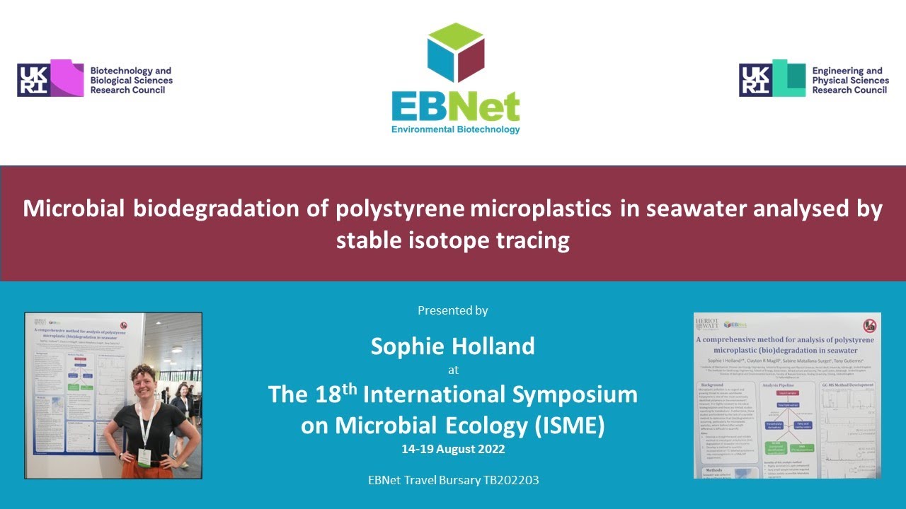 Microbial biodegradation of polystyrene microplastics in seawater ...