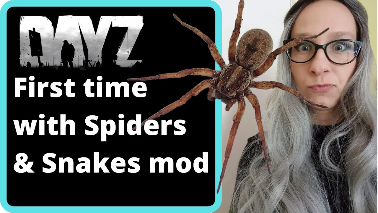 DayZ run? DayZ Crawl more like! First time on a Spiders and Snakes ...