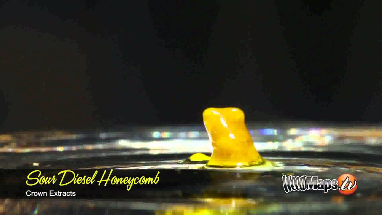 Honeycomb Showcase - Cannabis Cup Winning Hash, Budder, Wax, Oil - YouTube