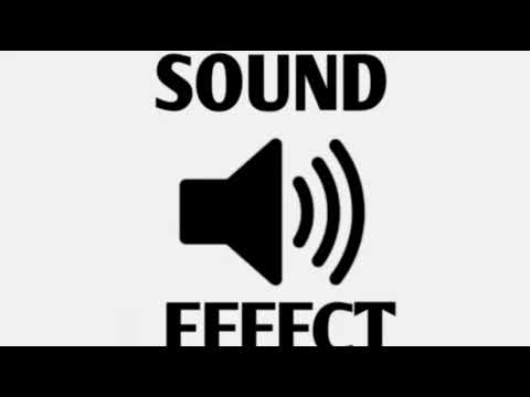 SOUND EFFECT - POLICE CIREN