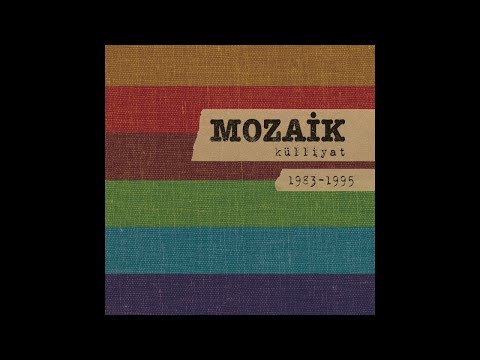 Mozaik - Emekli Albay Hilmi Ertunç #adamüzik