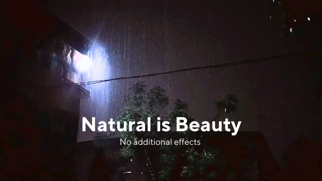 Natural Light Rain Sounds for Sleeping | African Midnight Natural ...