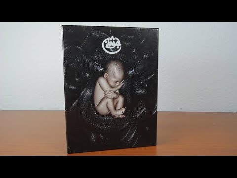 Azad - LEBEN 2 - Ltd Fanbox - Unboxing - YouTube
