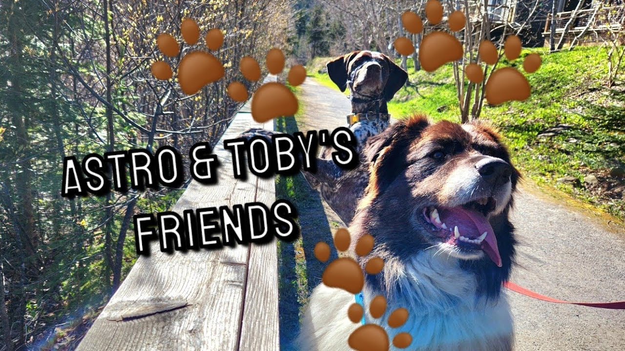 Astro & Toby's Friends | The Astro & Toby Show - YouTube