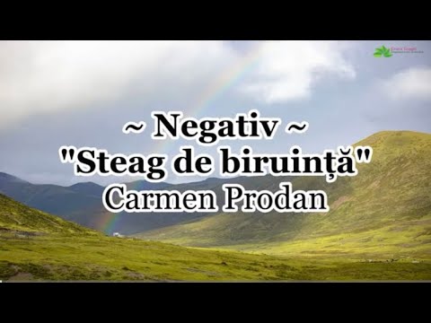 Negativ - Steag de biruință- Carmen Prodan [NOU 2023] - YouTube