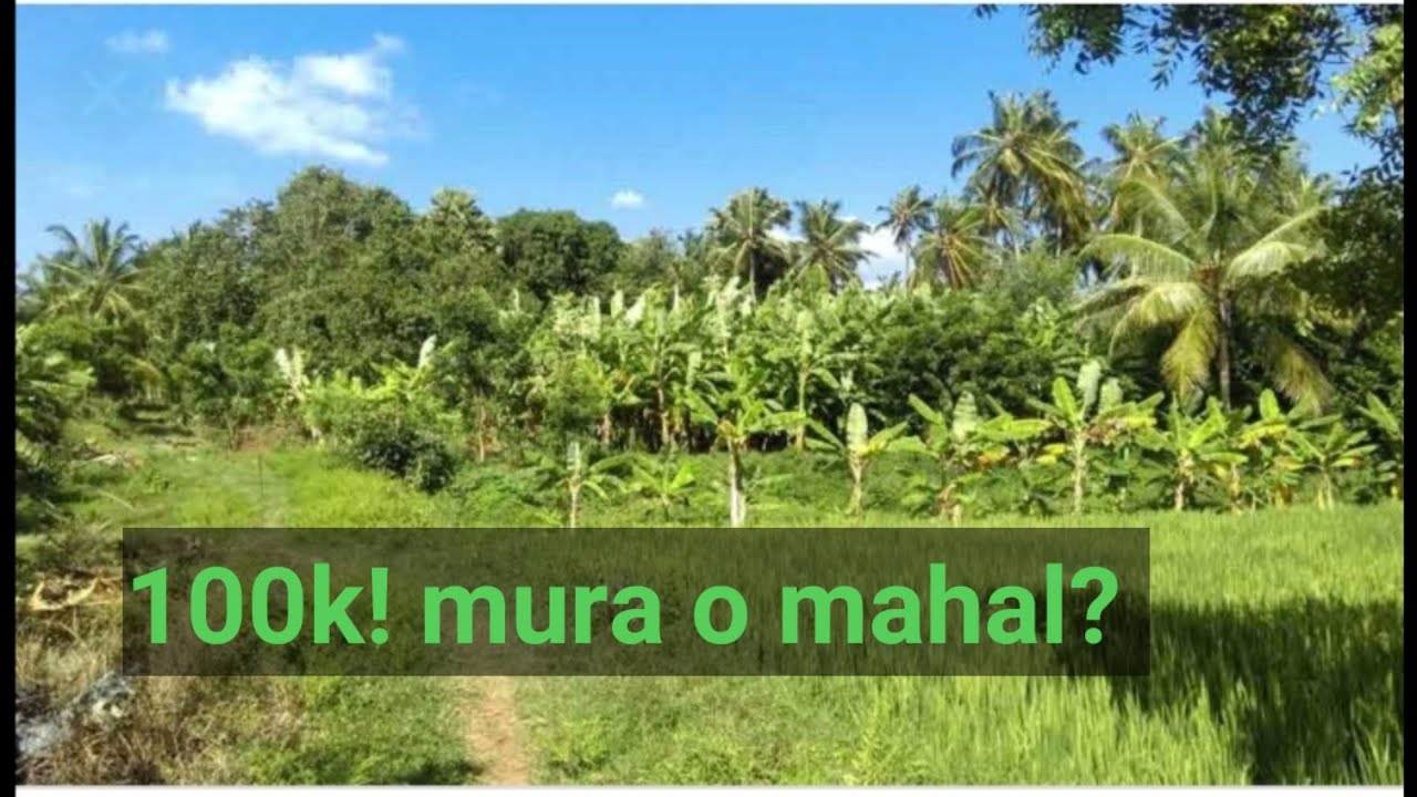 half hectare for 100k pesos - YouTube