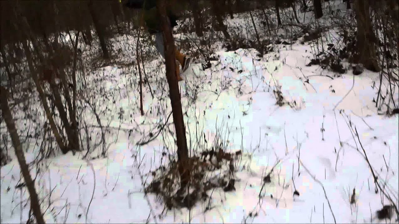 AMERICAN BULLIES IN THE SNOW - YouTube