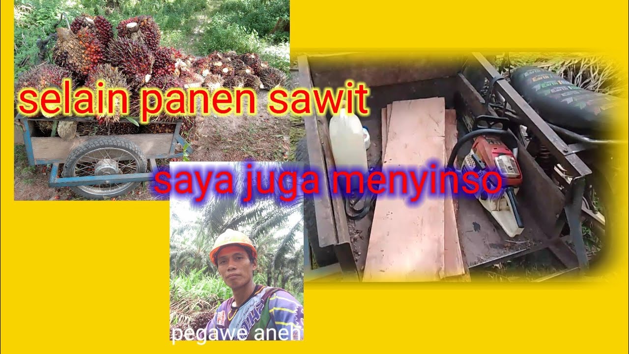 sinso kayu untuk bikin gerobak - YouTube
