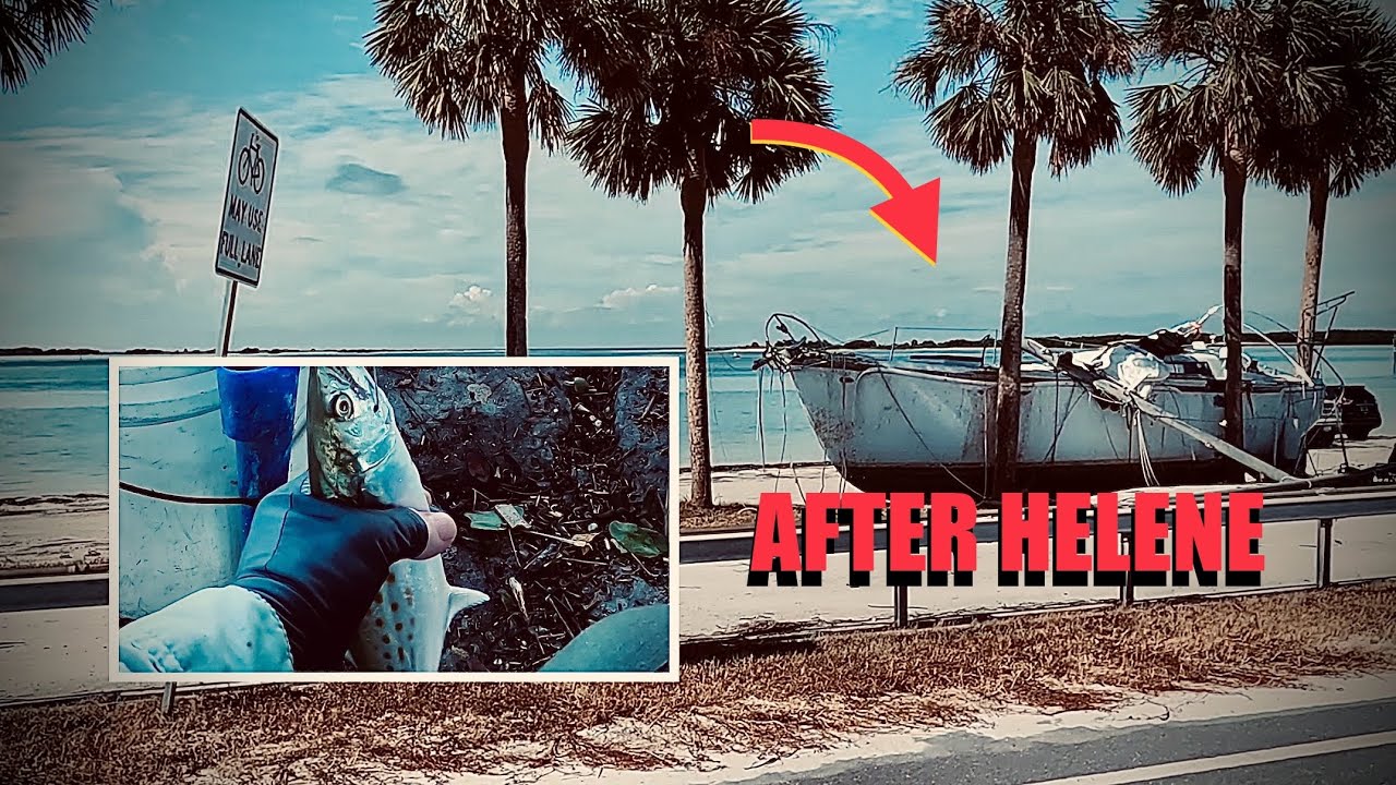 THREE Days After Hurricane Helene Moves Through at Dunedin Causeway ...
