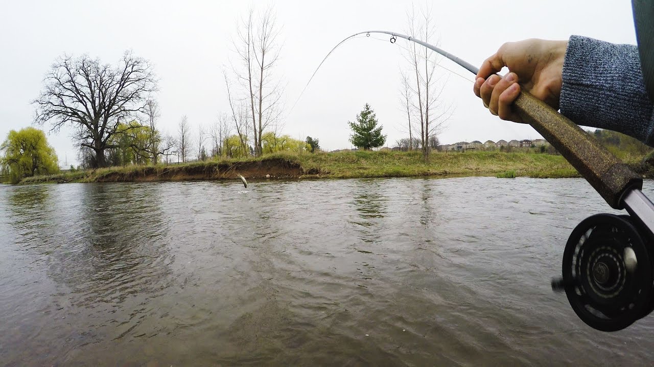 Swinging flies for spring steelhead - YouTube