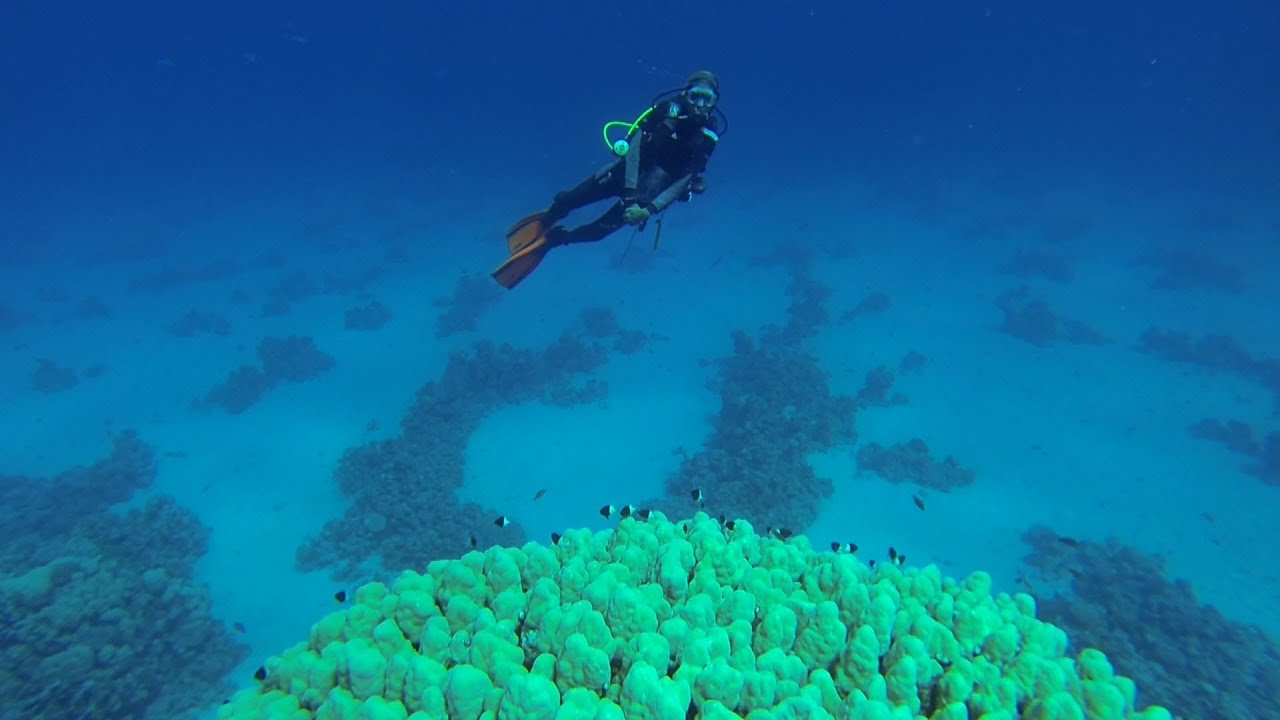 Tauchen in Ägypten - Diving in Egypt - YouTube
