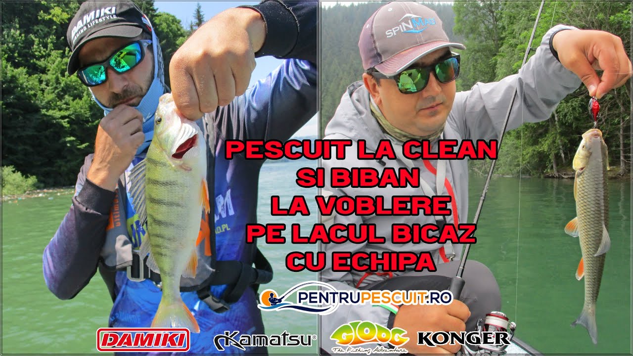 Pescuit la clean/biban cu voblere Damiki, Kamatsu, Gloog pe lacul Bicaz ...