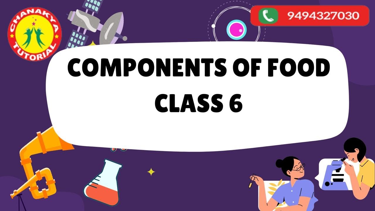 Grade 6 Components of Food L6 - YouTube