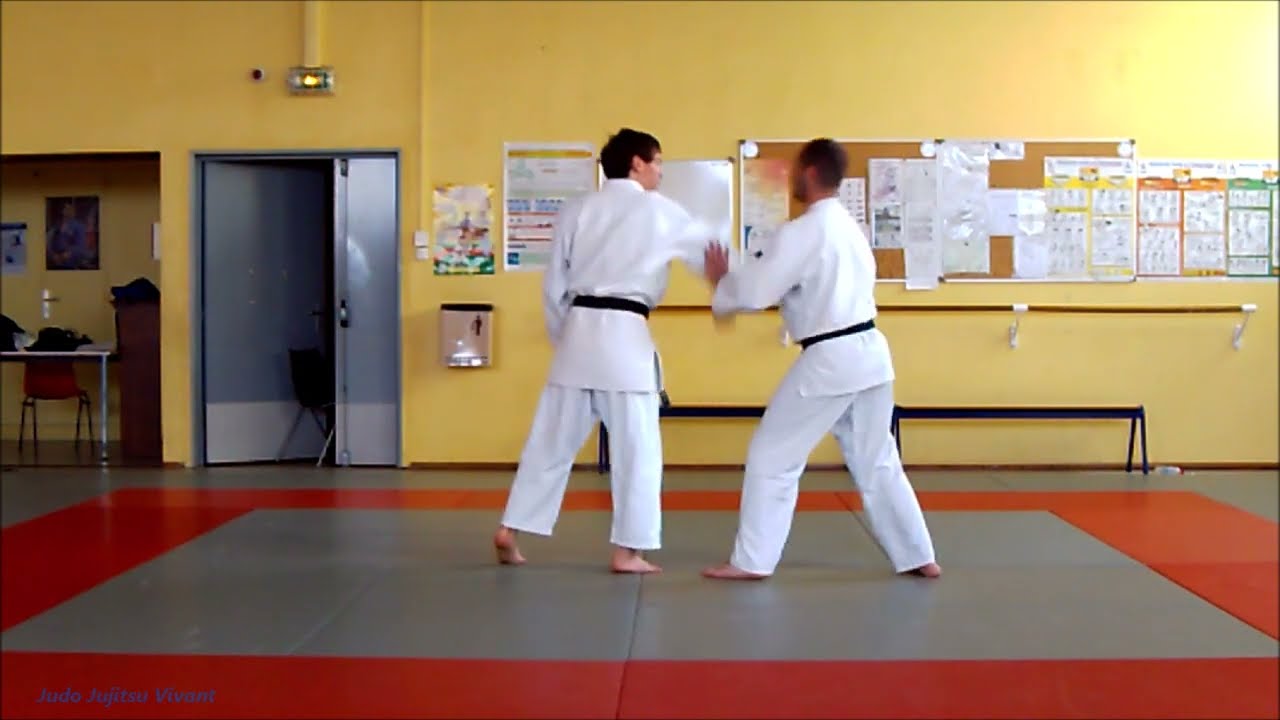 Kodokan Goshin Jutsu Technique 9 : Age Tsuki - YouTube