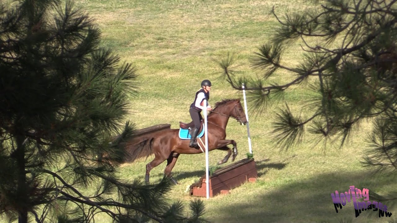 Natalie Winmill; SSHF Fall Horse Trials, October, 2021 - YouTube