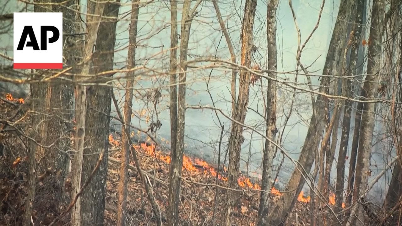 Wildfires prompt evacuations and emergency declaration in the Carolinas - YouTube