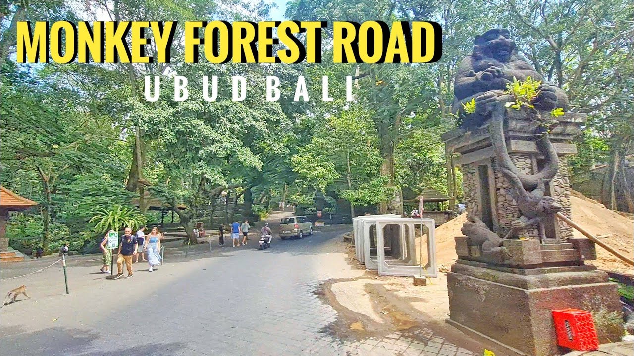 Monkey Forest Road in Ubud Bali - YouTube