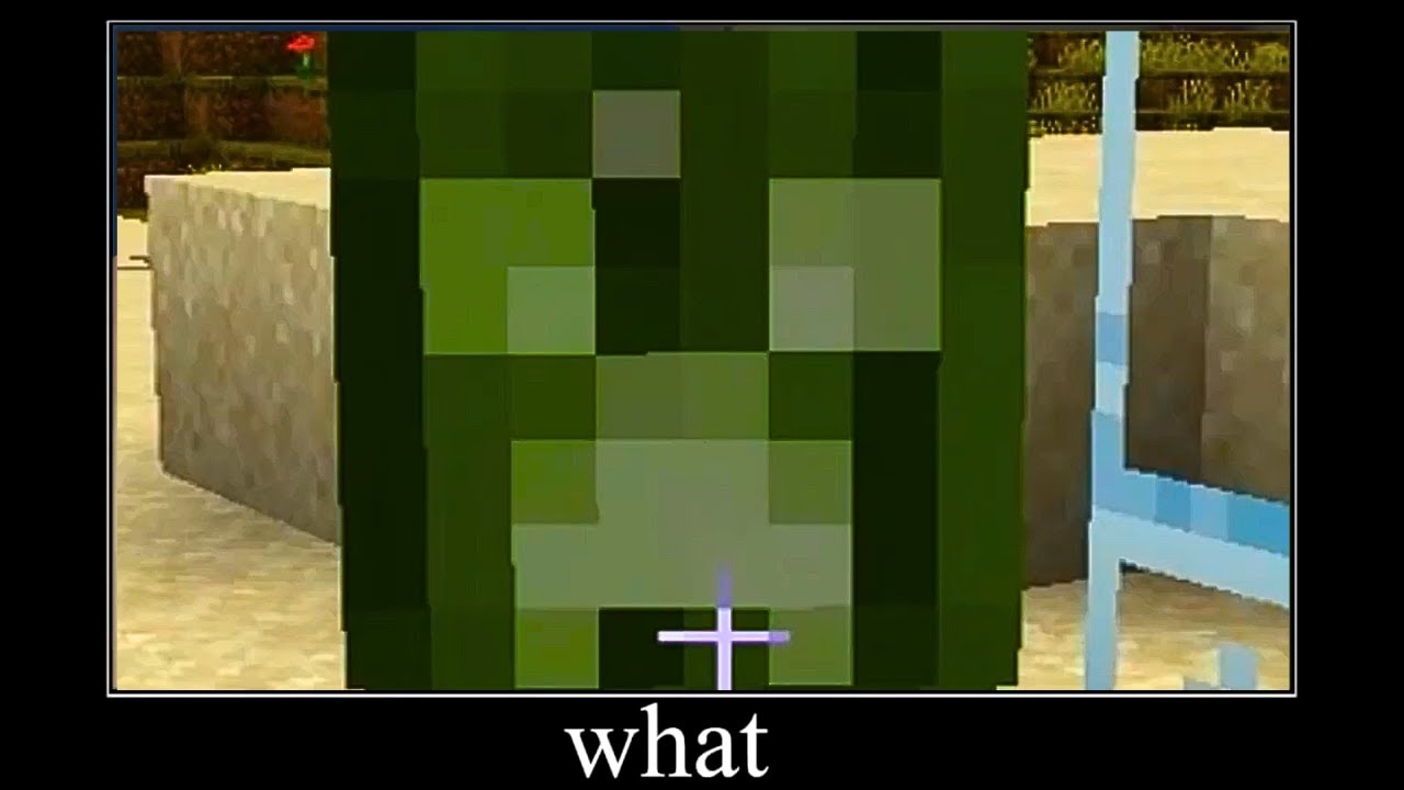 Minecraft Wait What Meme #22 - YouTube