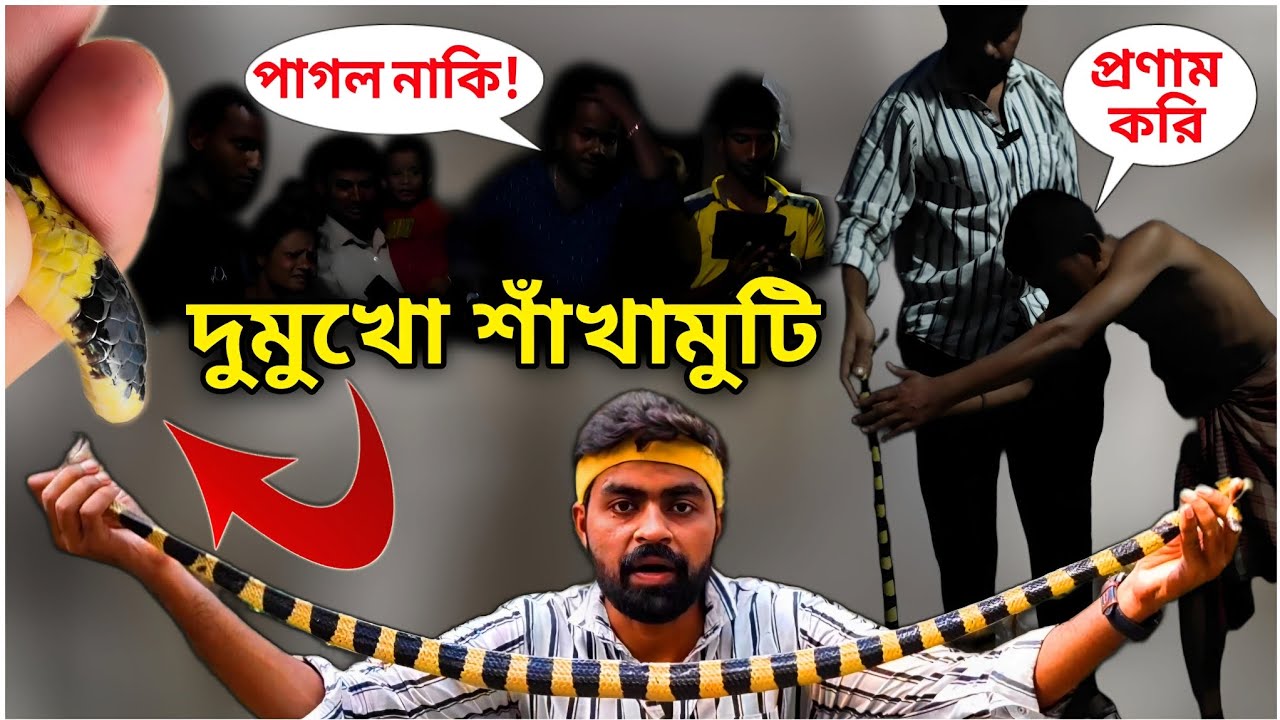 শাঁখামুটি সাপ মেরে মানুষ নিজের বিপদ ডাকছে কীভাবে?Dangerous but Very ...