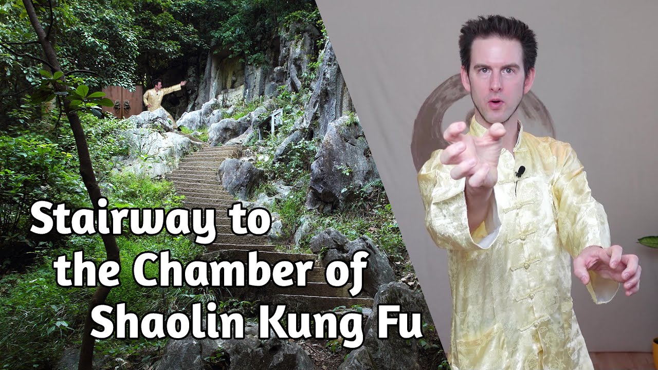 Hand Forms - Lesson 08/19 - Southern Shaolin Kung Fu Training [FREE ...
