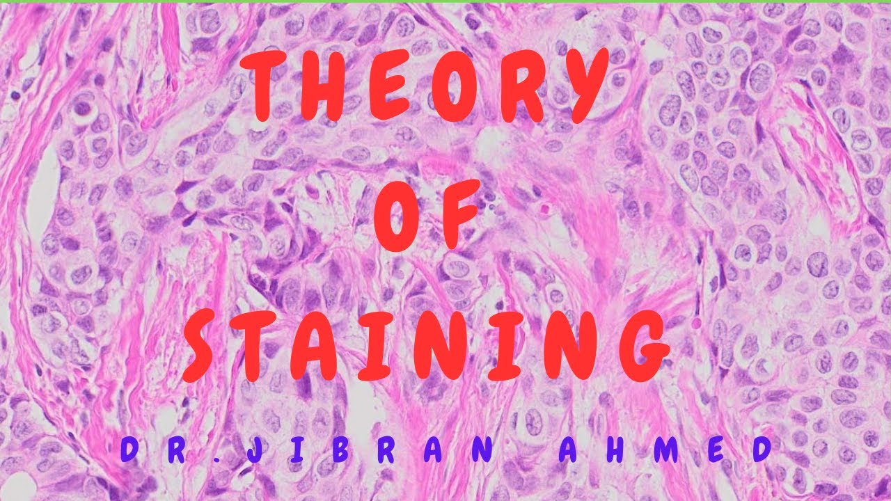 THEORY OF STAINING II BASIC TISSUE PROCESSING TECHNIQUES II @DR JIBRAN ...