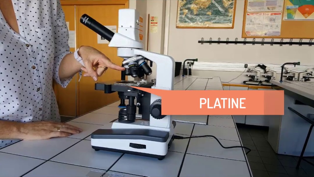 Tuto utilisation Microscope - YouTube