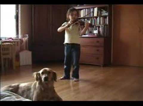 Dog and Violin Recital - YouTube