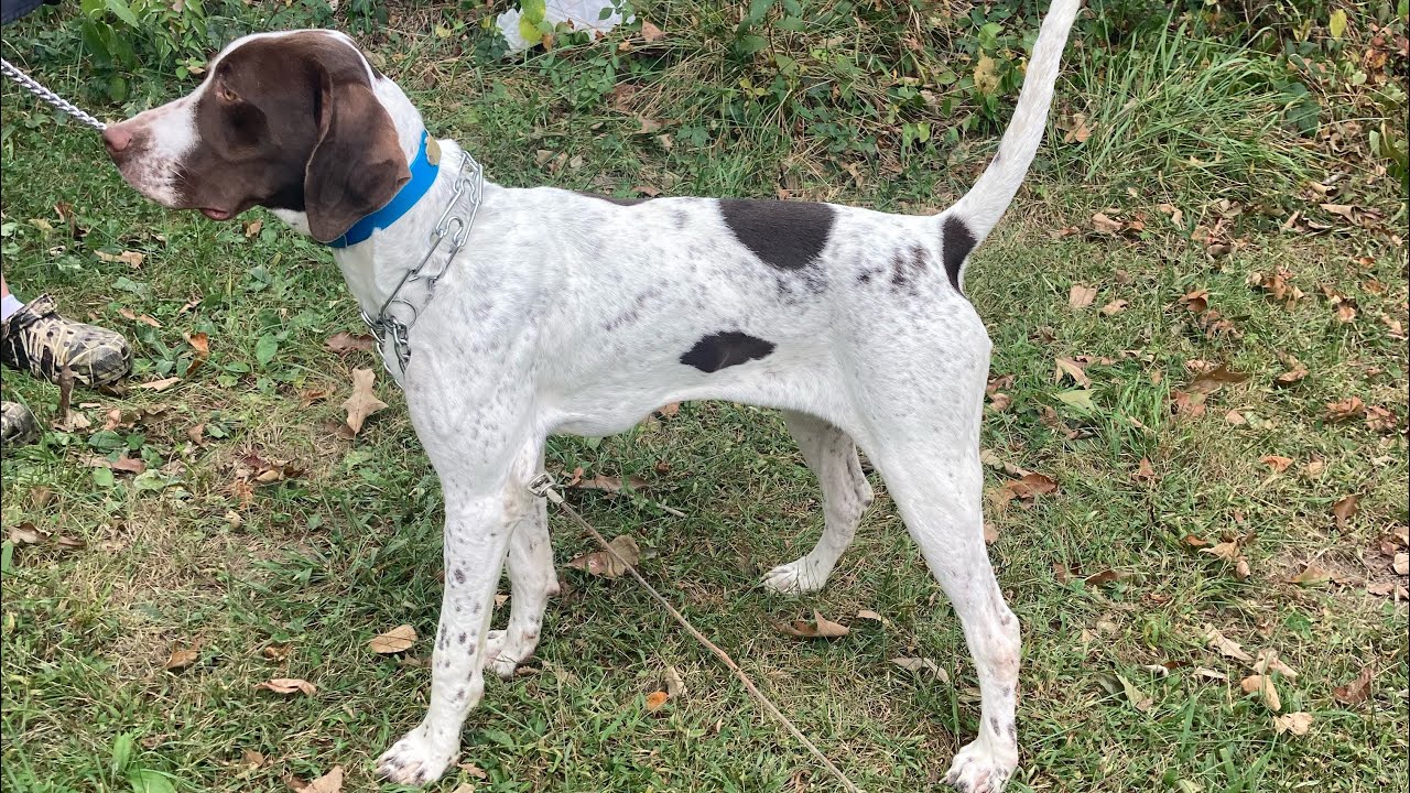 Whoa Post Work - YouTube