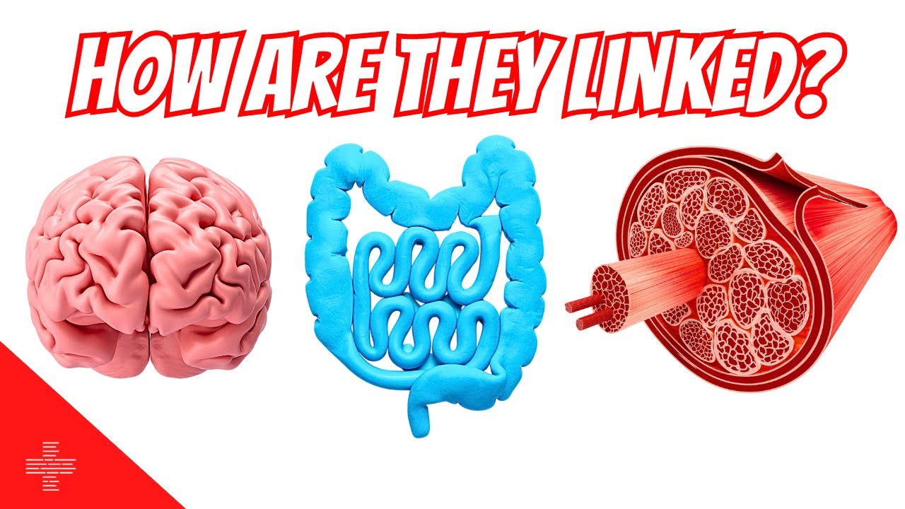 Mind Over Body: How Mental Health Directly Impacts Your Physical Well ...