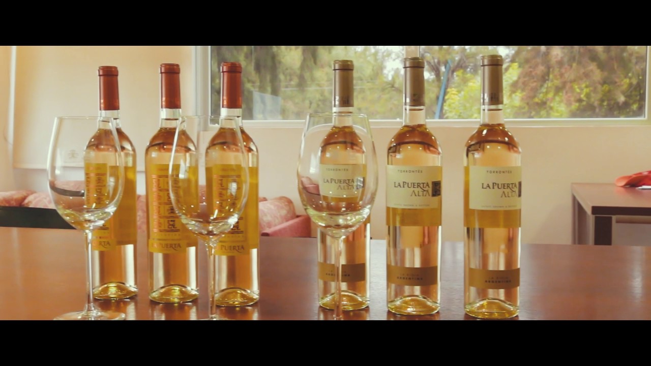 La Ruta del Torrontes Riojano - YouTube