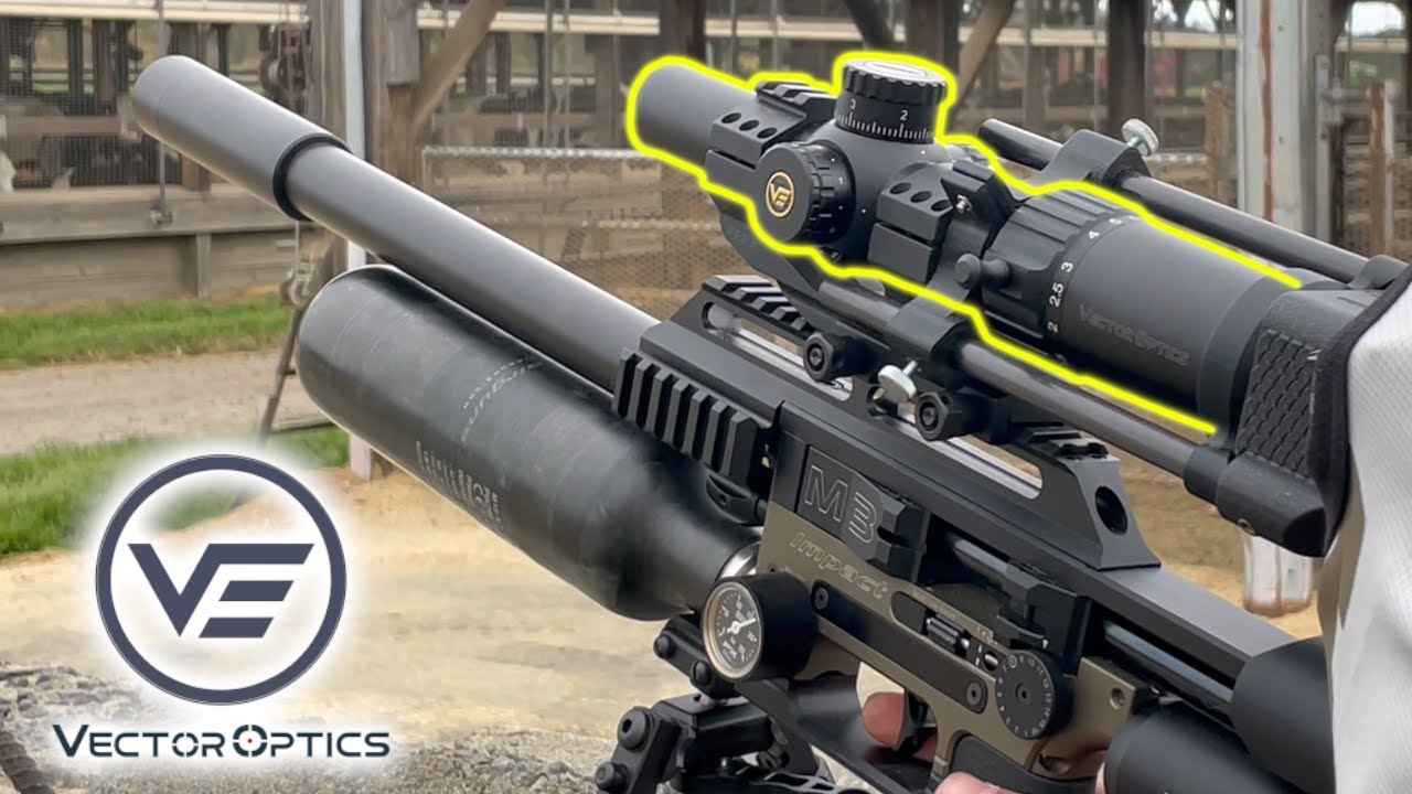 Baiting Pigeons and Blasting Starlings | Vector Optics Taurus - YouTube