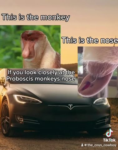 The truth behind the tesla logo #tesla #shorts #viral_video #monkey # ...