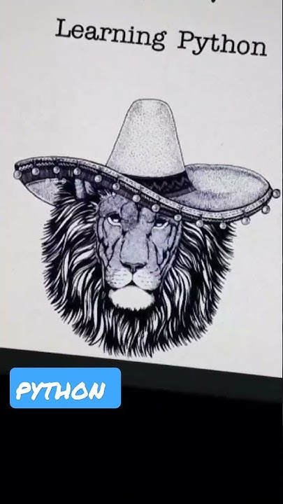 Python Beginner - YouTube