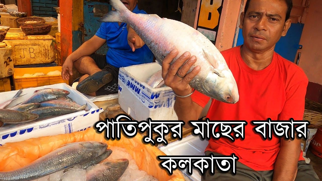 Patipukur Fish Marker - Largest Fish Market in Kolkata - YouTube
