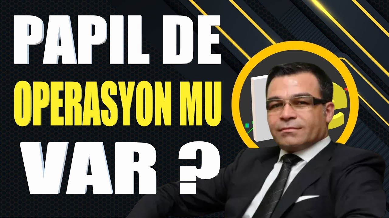 Değeri 150 liradan 67 liraya düşen Papilon (PAPIL ) hissesinde ...