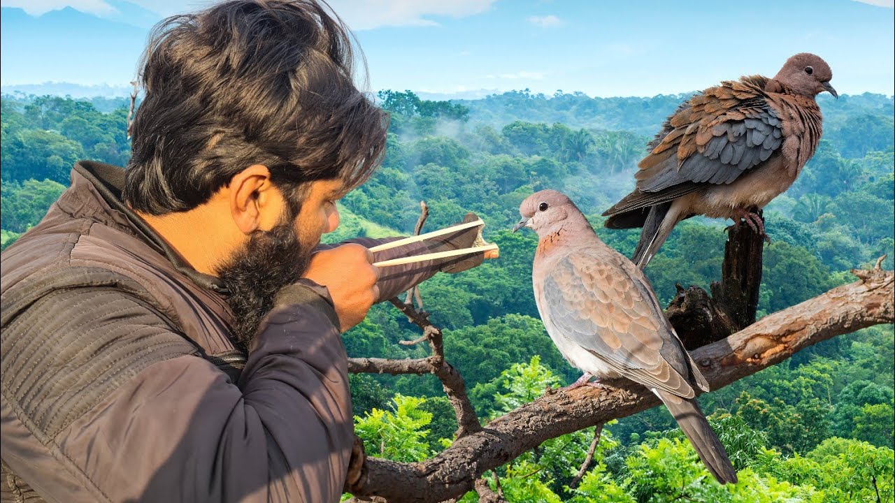 Prey & Predator | Chasing Wild Dove with Slingshot ️ - YouTube