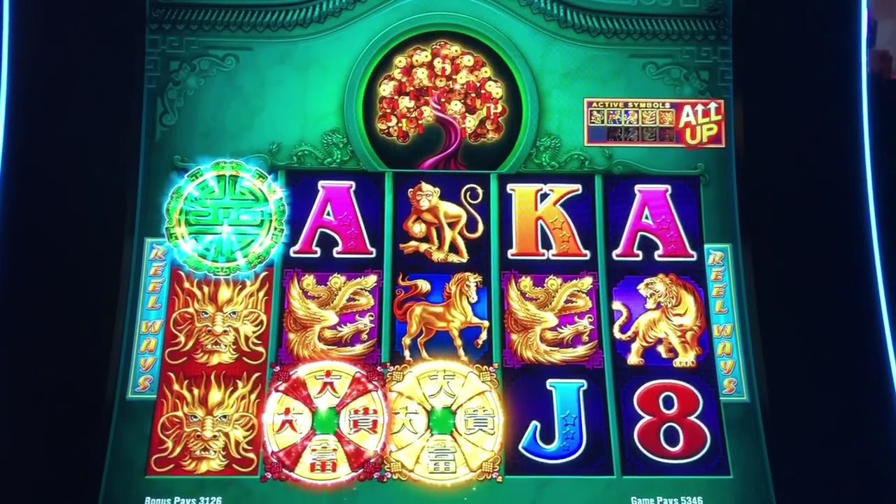 🌳First time playing Tree of Wealth! Bonus and live play!🌳 - YouTube