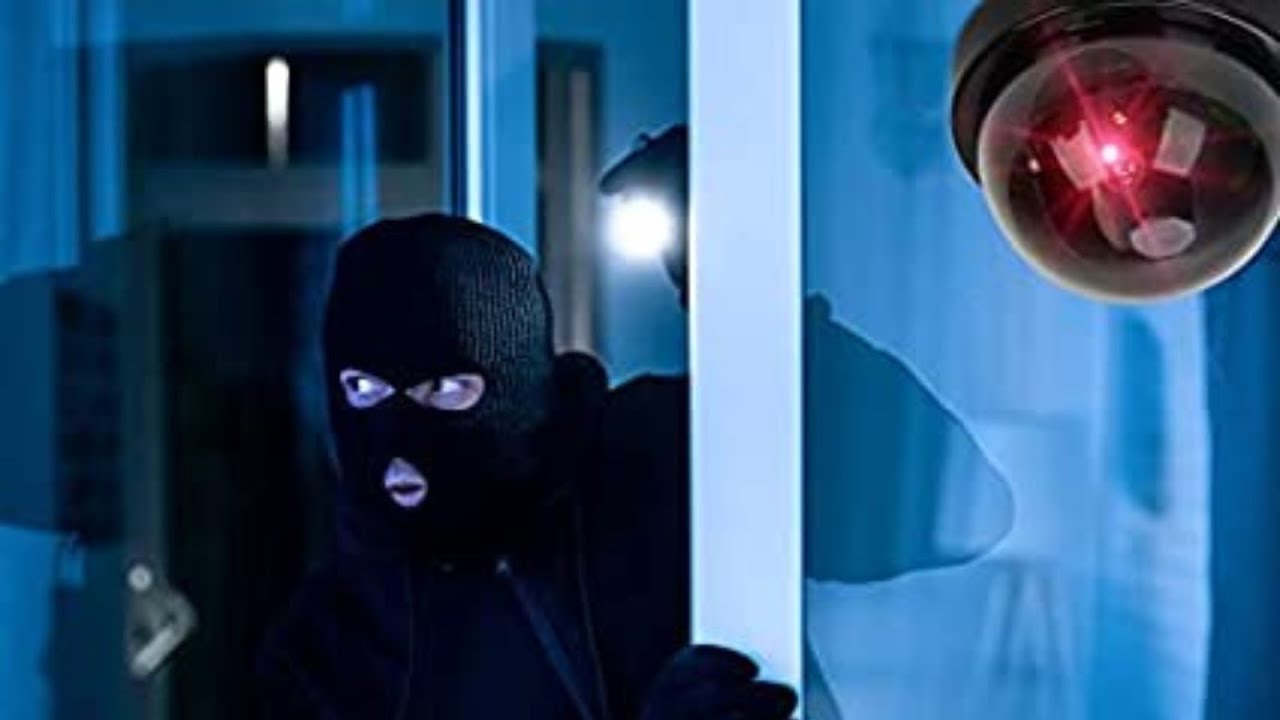 SAVITO Realistic Looking Fake Security Camera | $100k Bonuses in ...