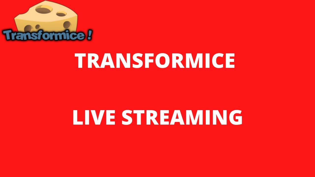 Transformice #Batata - LIVE STREAM - YouTube