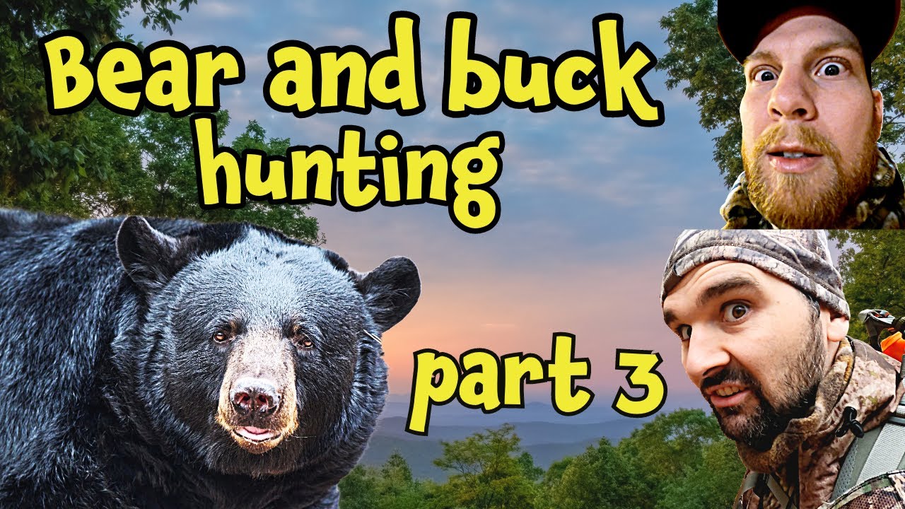 Georgia Bear and Buck Hunting Part 3 - YouTube